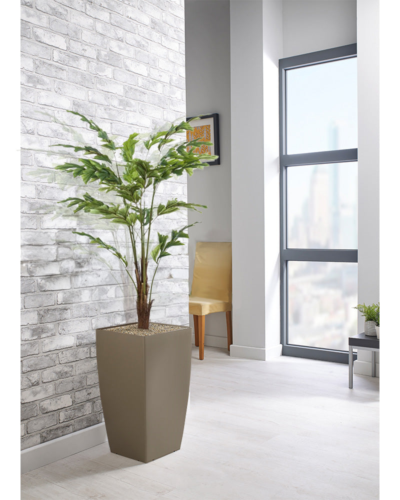 Fishtail Palm Floor Standing Plant | NWOF